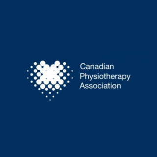 Physiotherapy, Sports Physiotherapy, Pelvic Health and more | Great ...